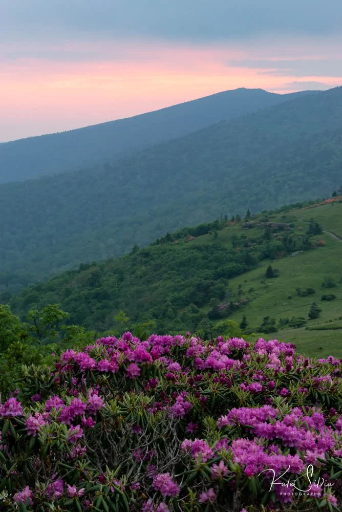 Southern Appalachians — Kate Silvia Photography