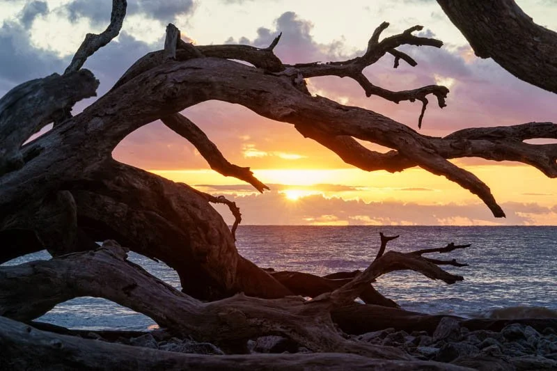 Southeast Coast — Kate Silvia Photography