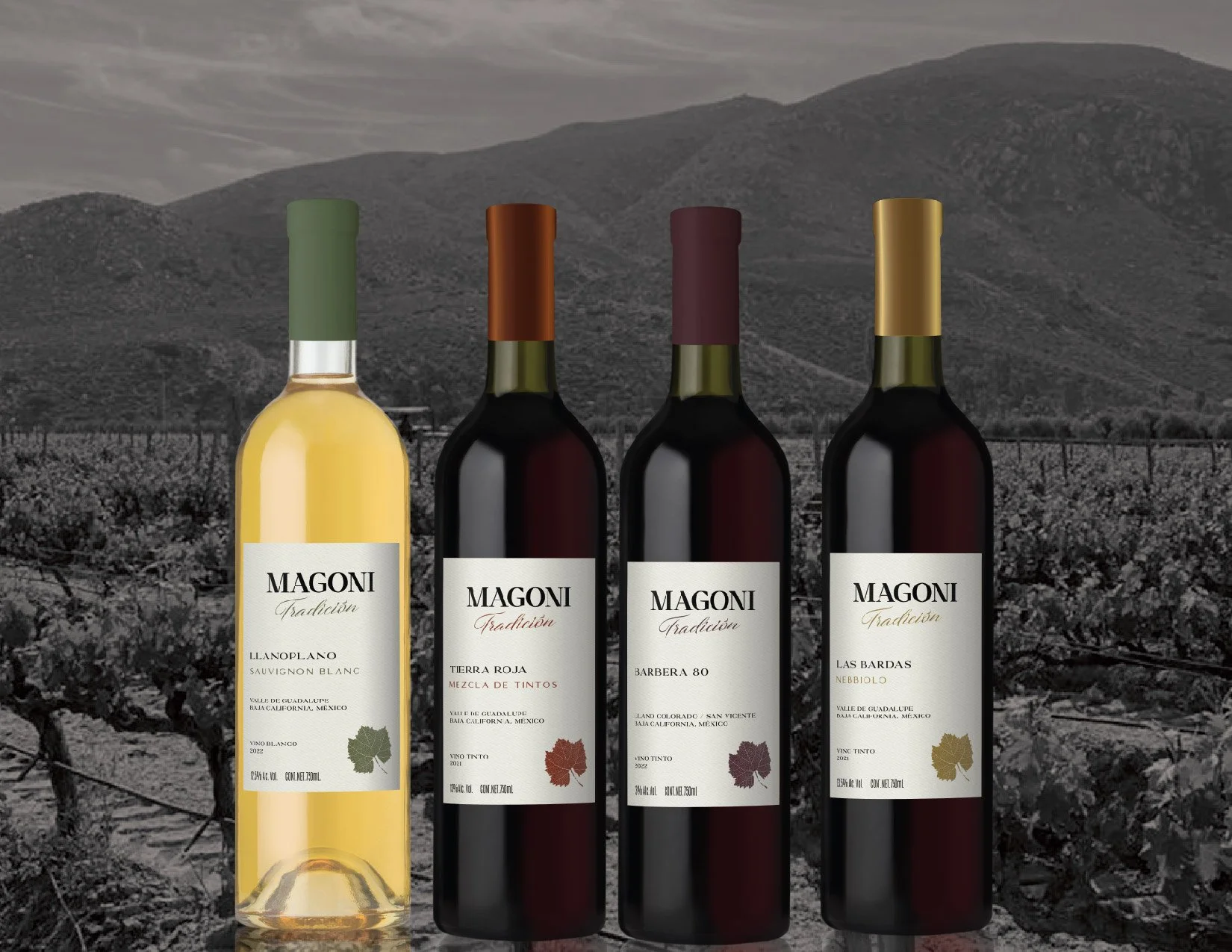 Magoni Tradición — Claudia Parga