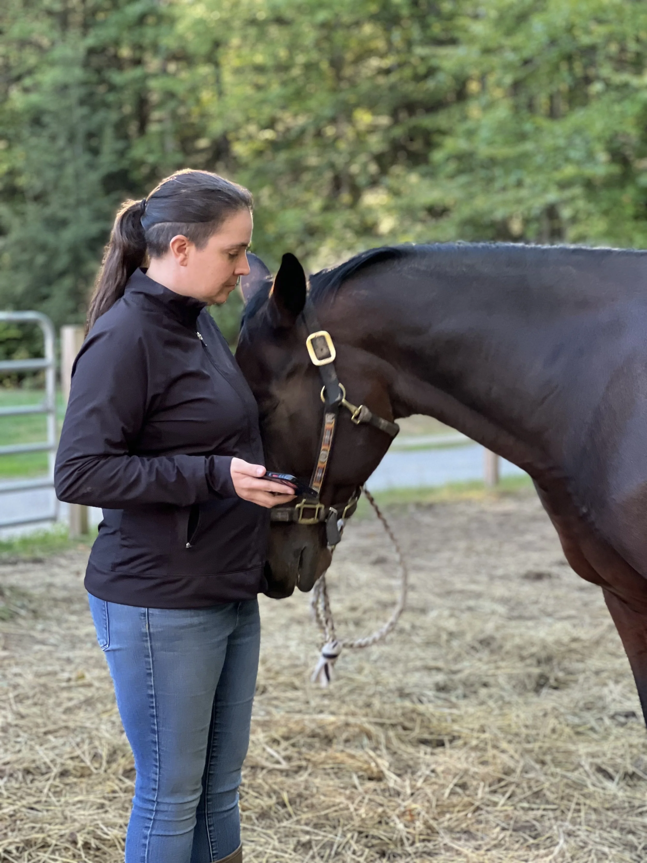 About — TERRA Equine Therapy Center