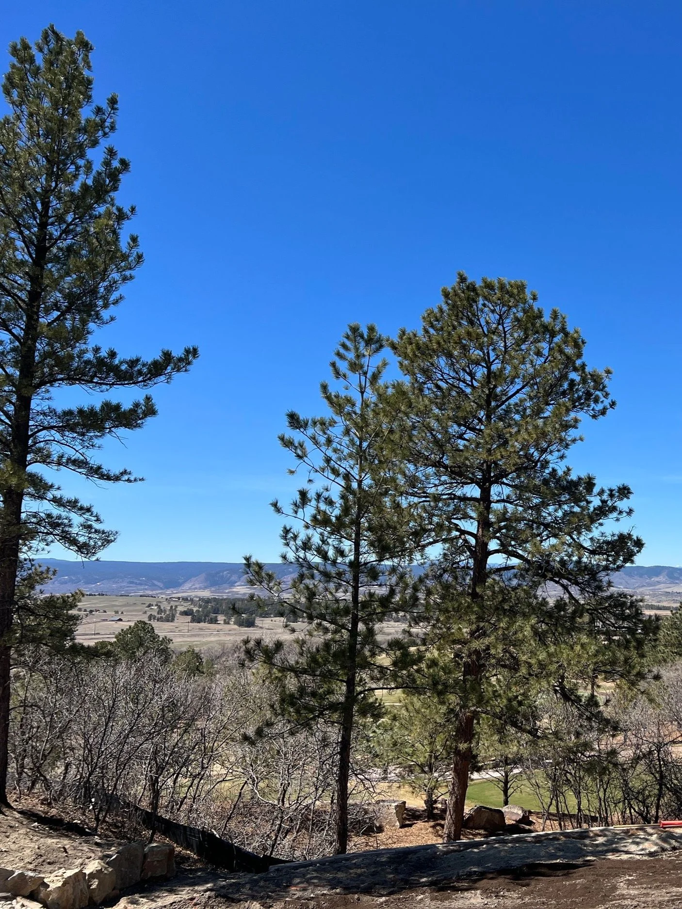 We Moved In! — Taylor Dilk