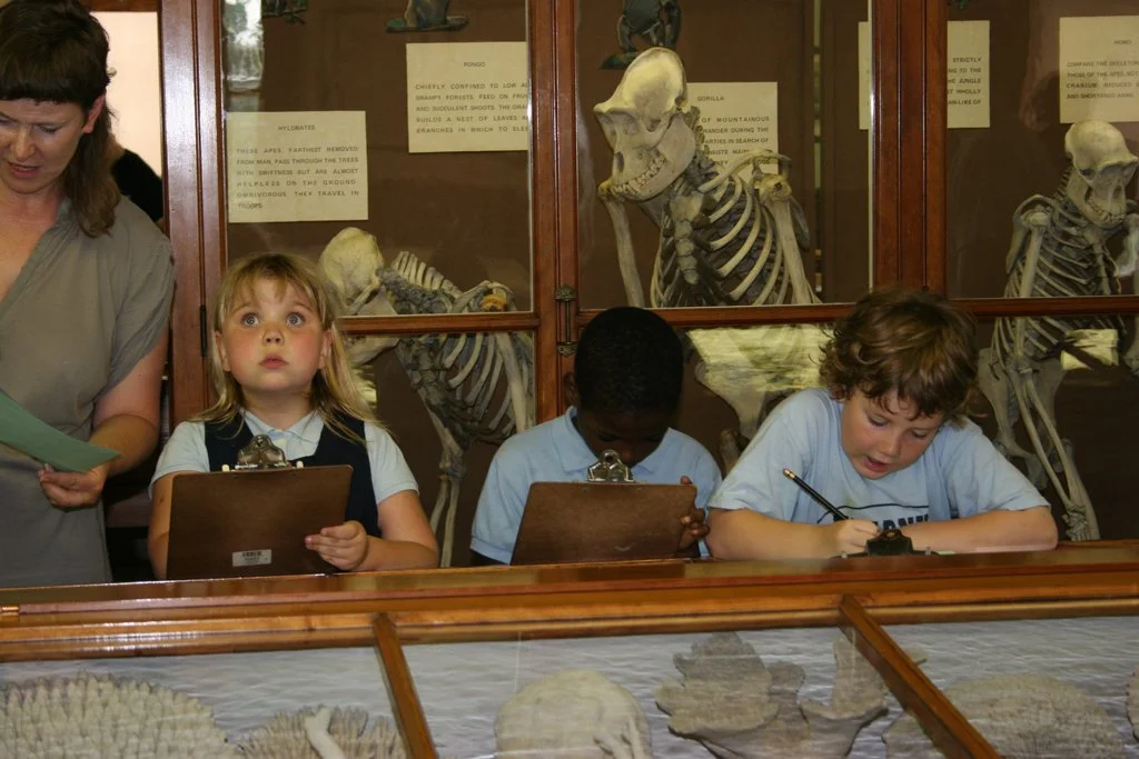 Wagner Membership — Wagner Free Institute of Science