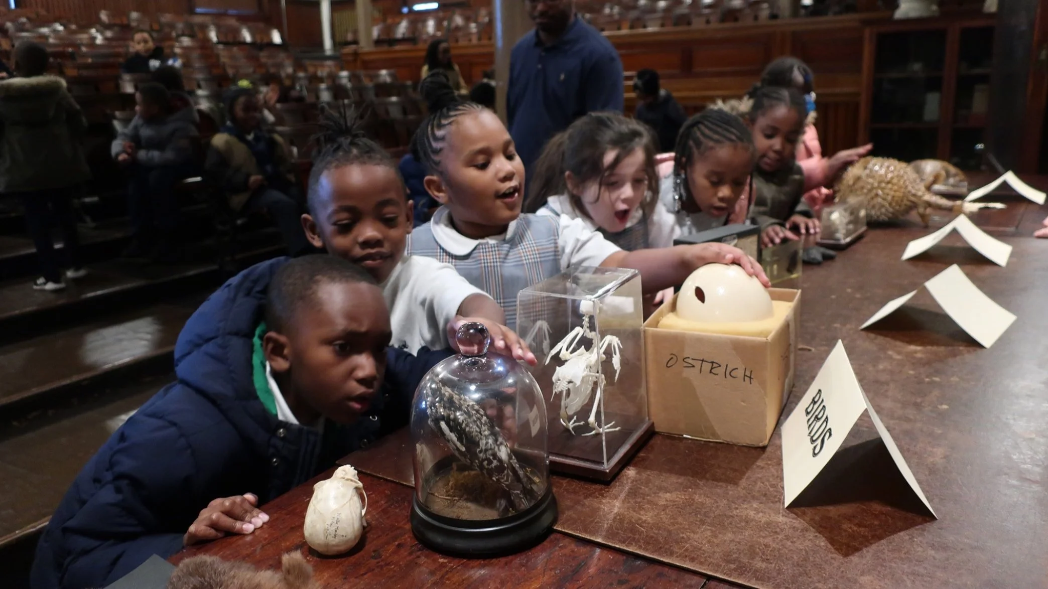 Group Field Trips — Wagner Free Institute of Science