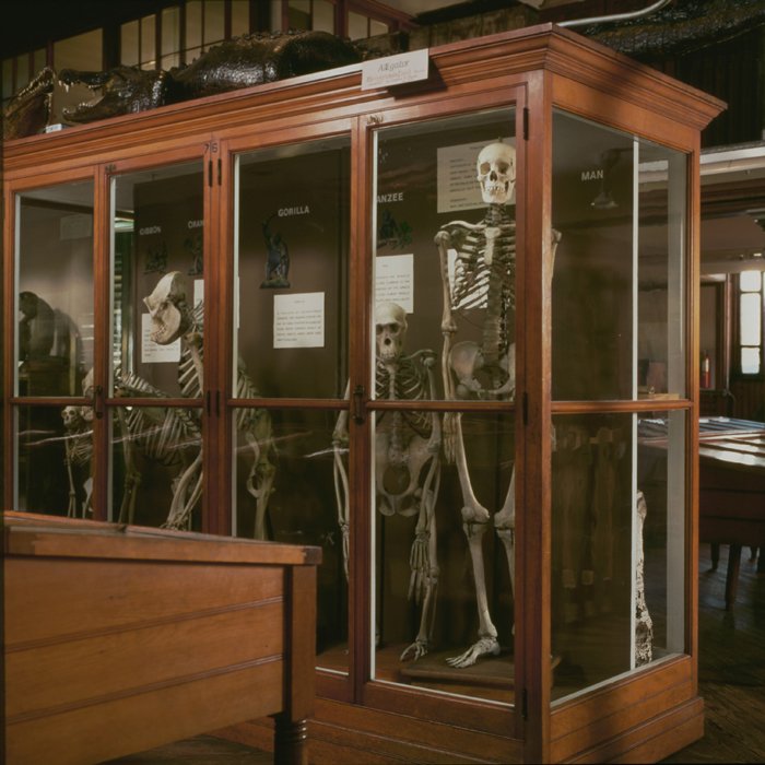 Wagner Free Institute of Science