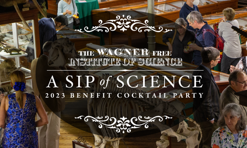 A Sip of Science 2023 — Wagner Free Institute of Science