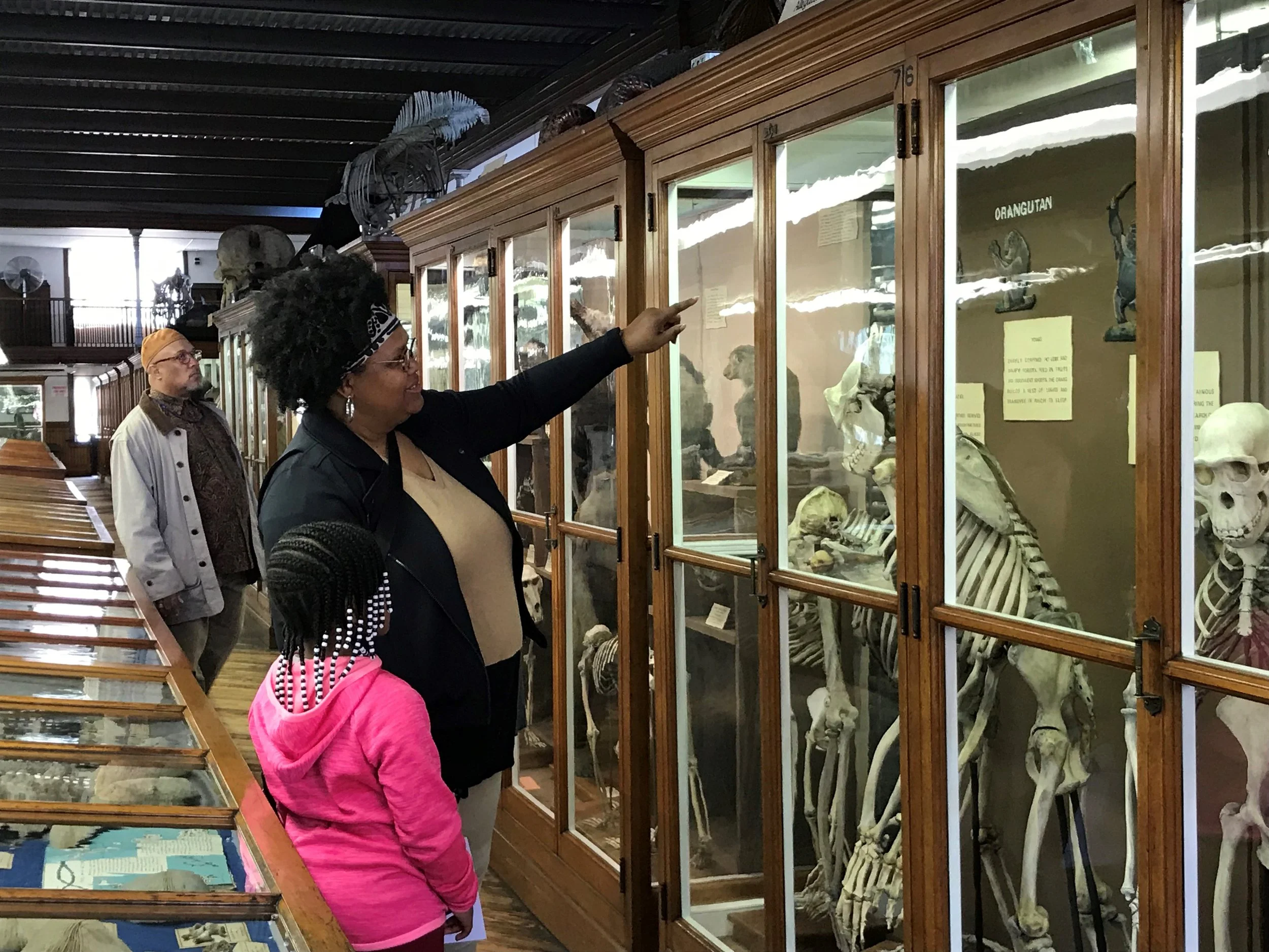Visit the Museum — Wagner Free Institute of Science