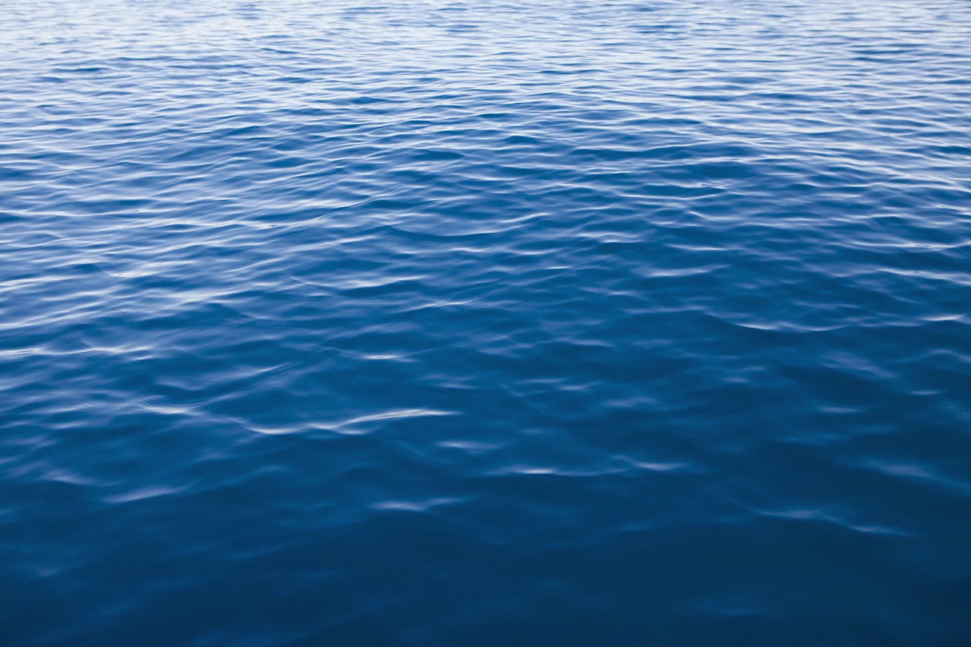 Services — Medium Lori O