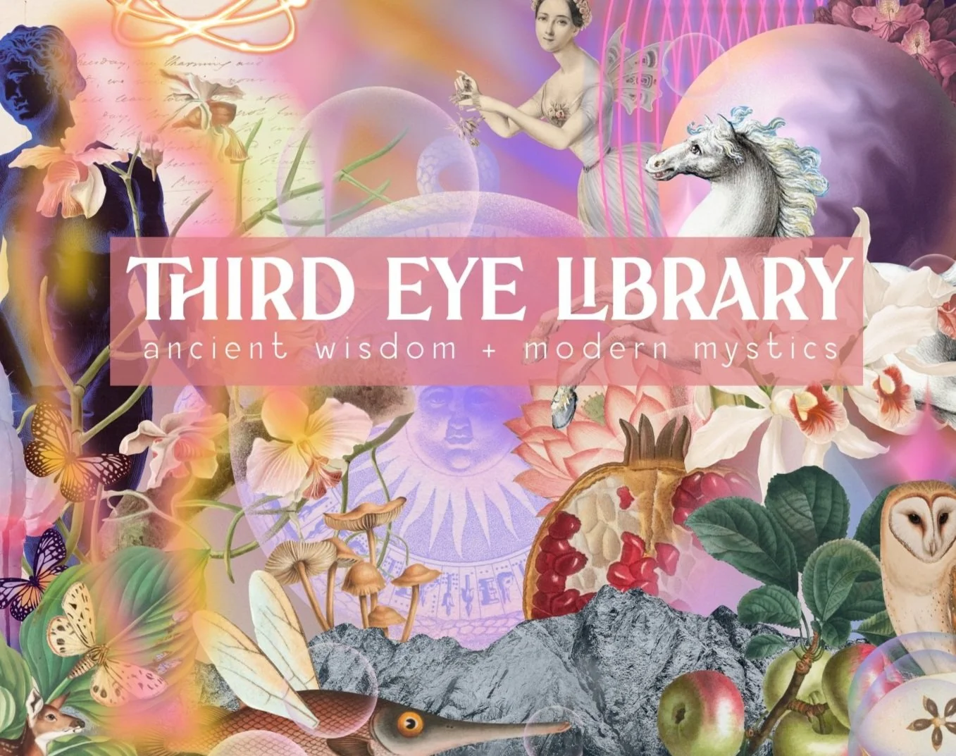 Medium Lori O | Psychic Mediumship, Reiki Healing, and Energy Cleansing Services