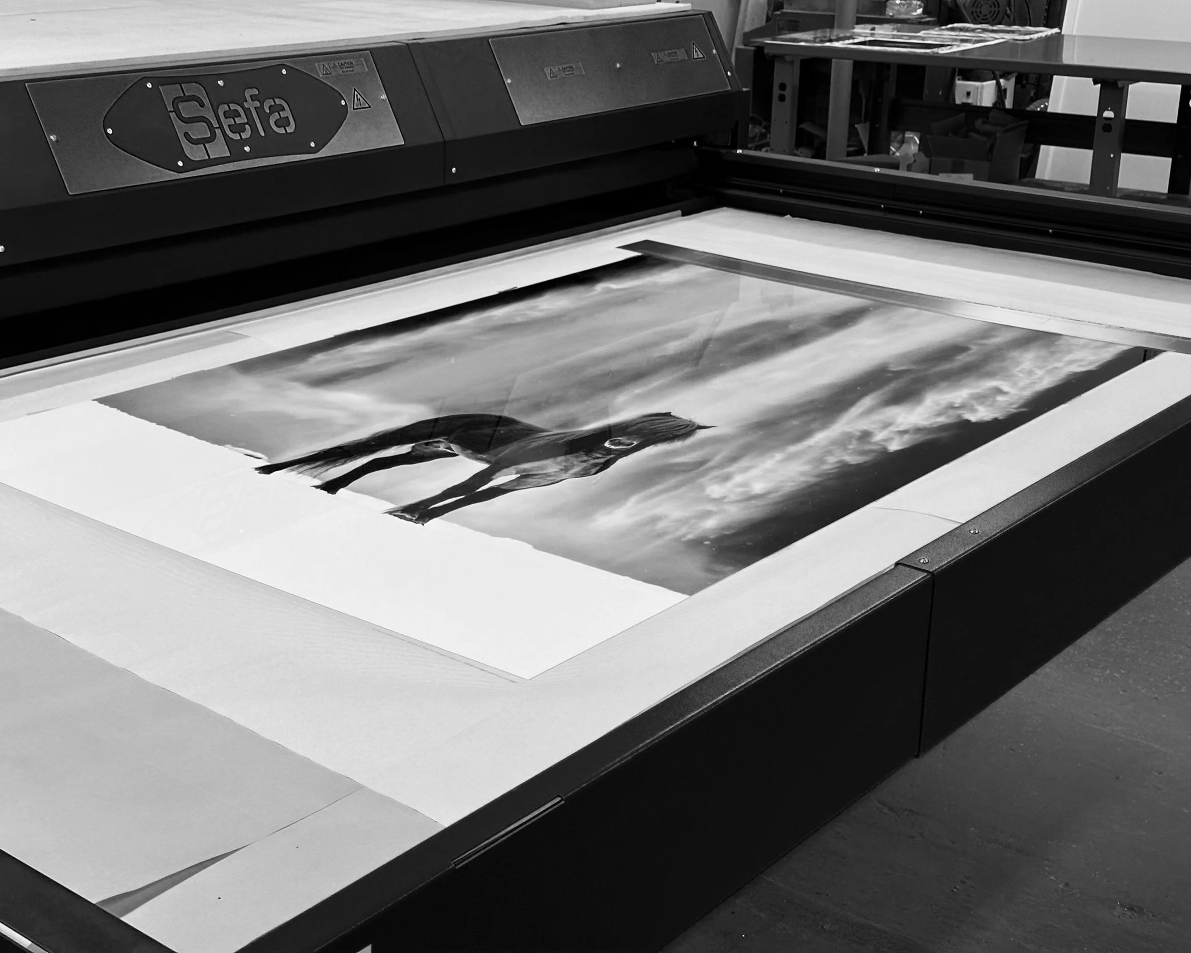 PRINTING & FRAMING — GUADALUPE LAIZ