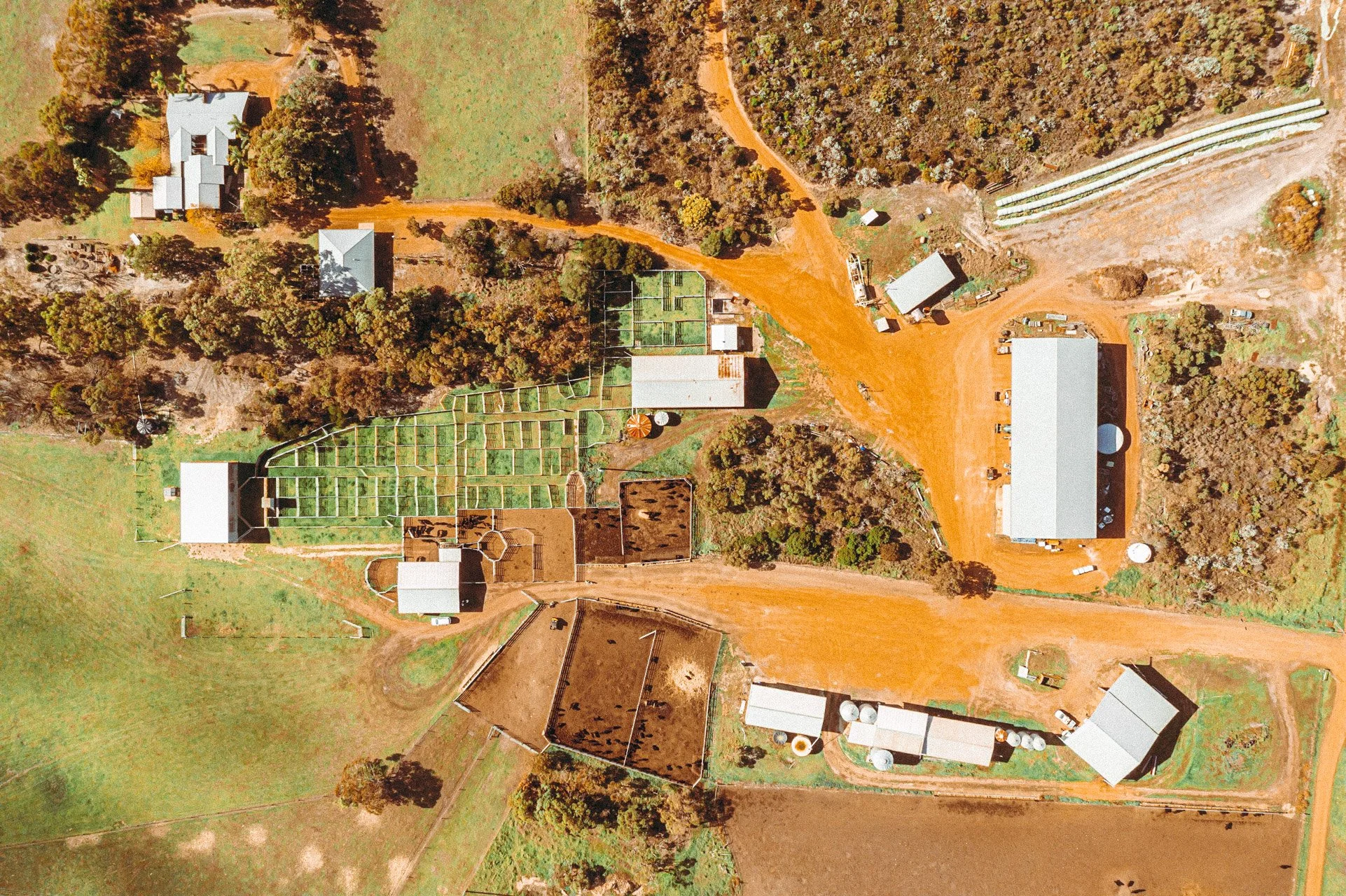 History — COONAMBLE ANGUS