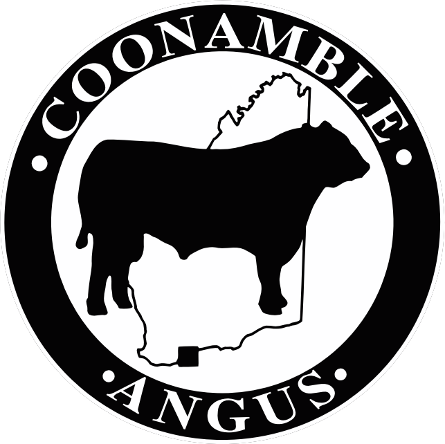 Award-Winning Angus Genetics | Coonamble Angus Bremer Bay, WA ...