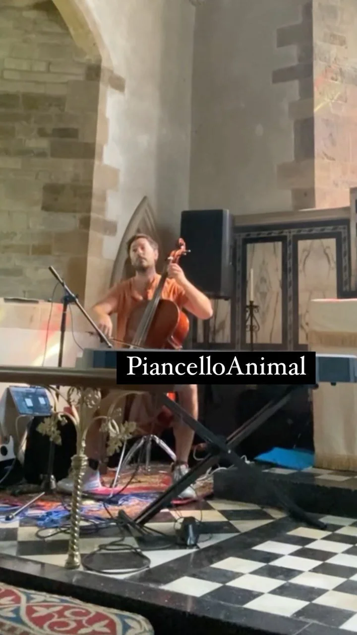 Michael G Moore The Piano Animal