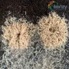 PRODUCTS — Frenzy Fish Feeds