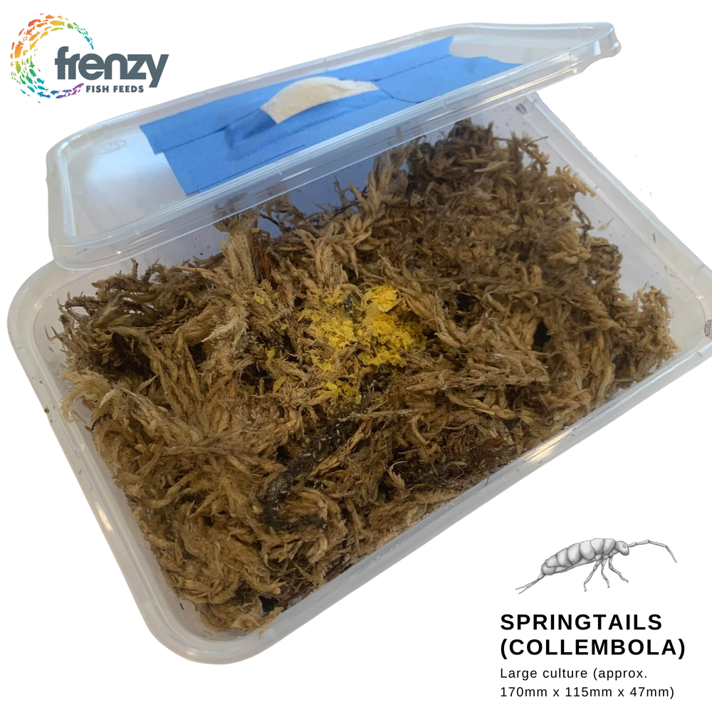 PRODUCTS — Frenzy Fish Feeds