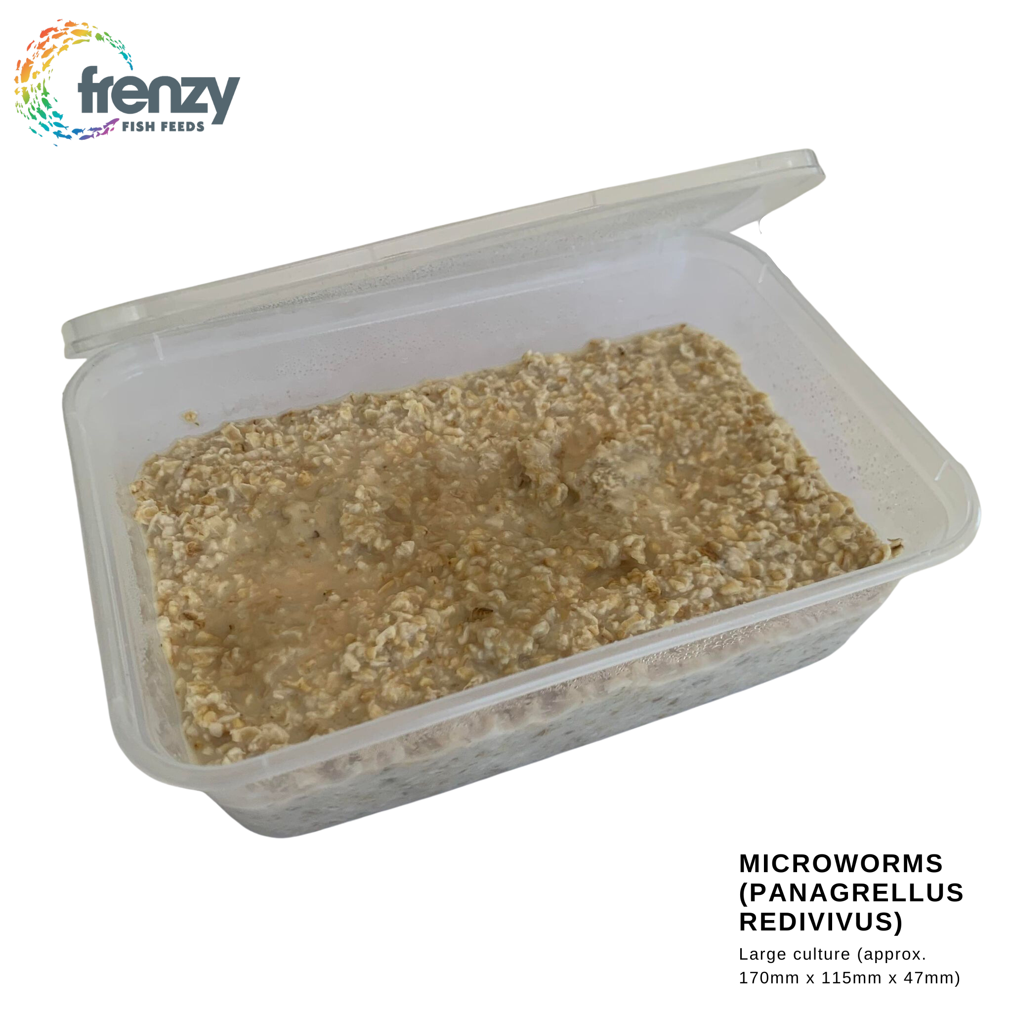 Banana Worms (Panagrellus Nepenthicola) Culture — Frenzy Fish Feeds