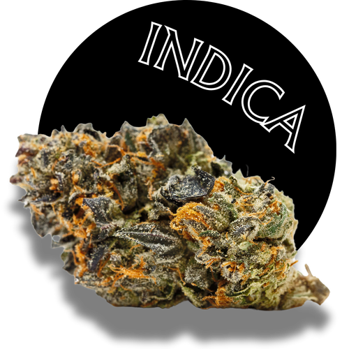 Extracts — Arizona Organix Dispensary