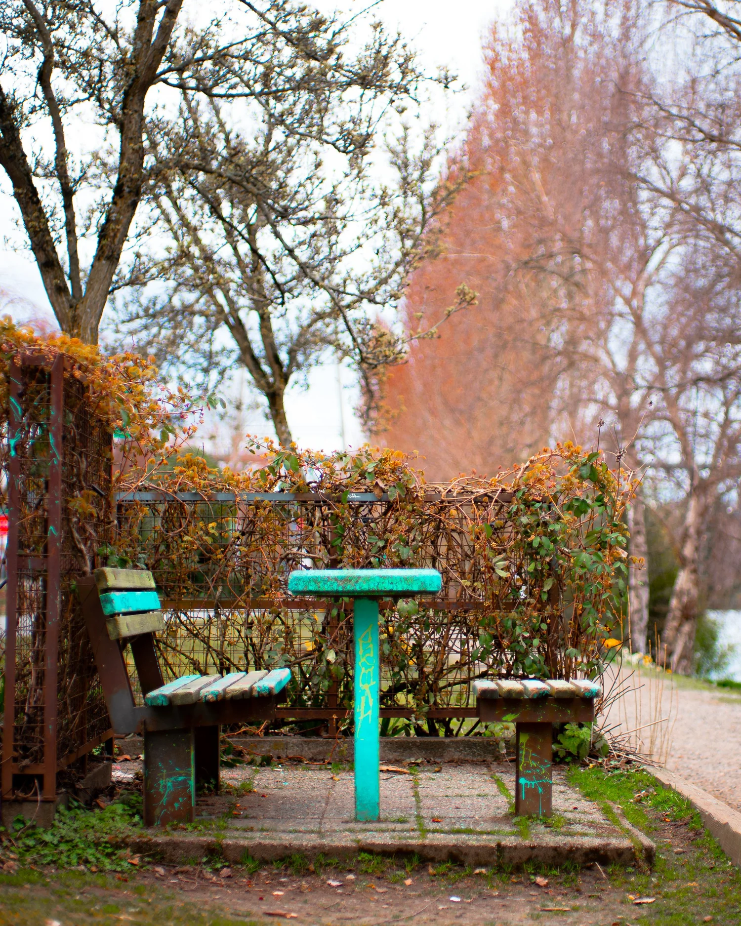 Visual Hierarchy by David Carrion — By.The.Hearth - Photography