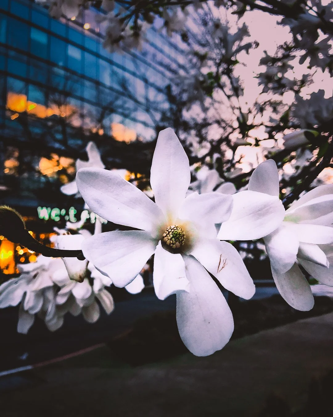 Visual Hierarchy by David Carrion — By.The.Hearth - Photography