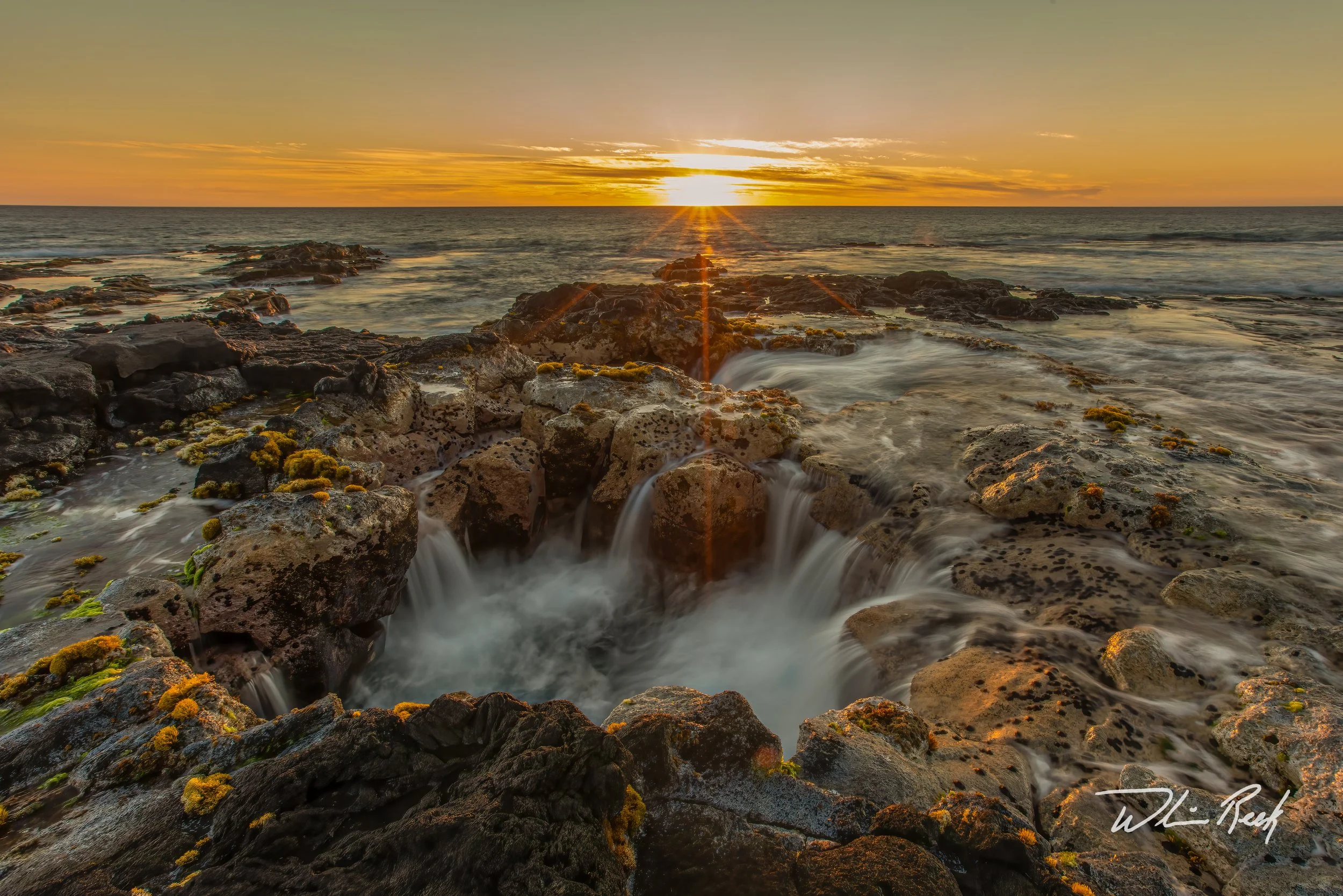 William Reek Photography