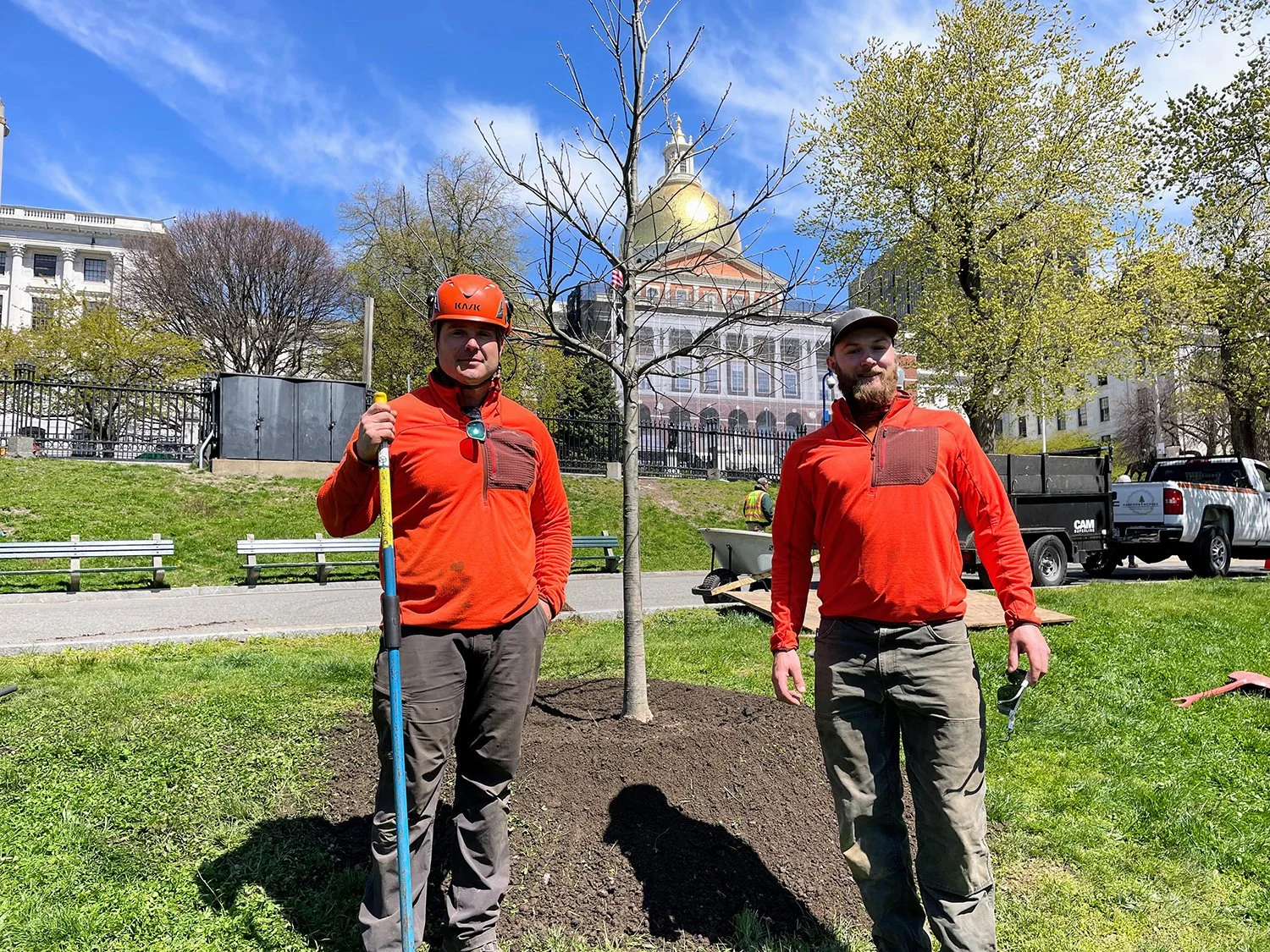 The Arborist's Touch: Nurturing Trees Amid Construction, Fostering ...
