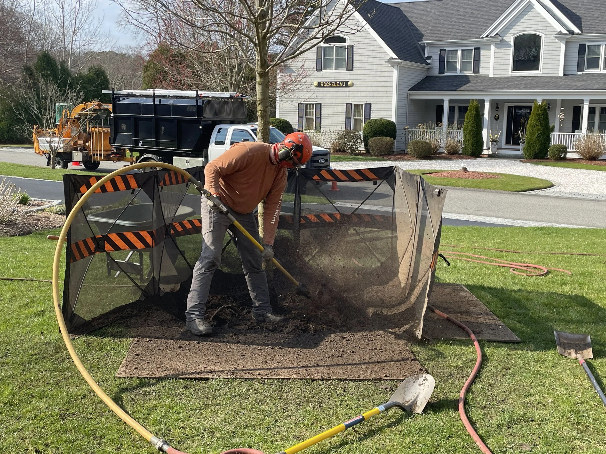The Arborist's Touch: Nurturing Trees Amid Construction, Fostering ...