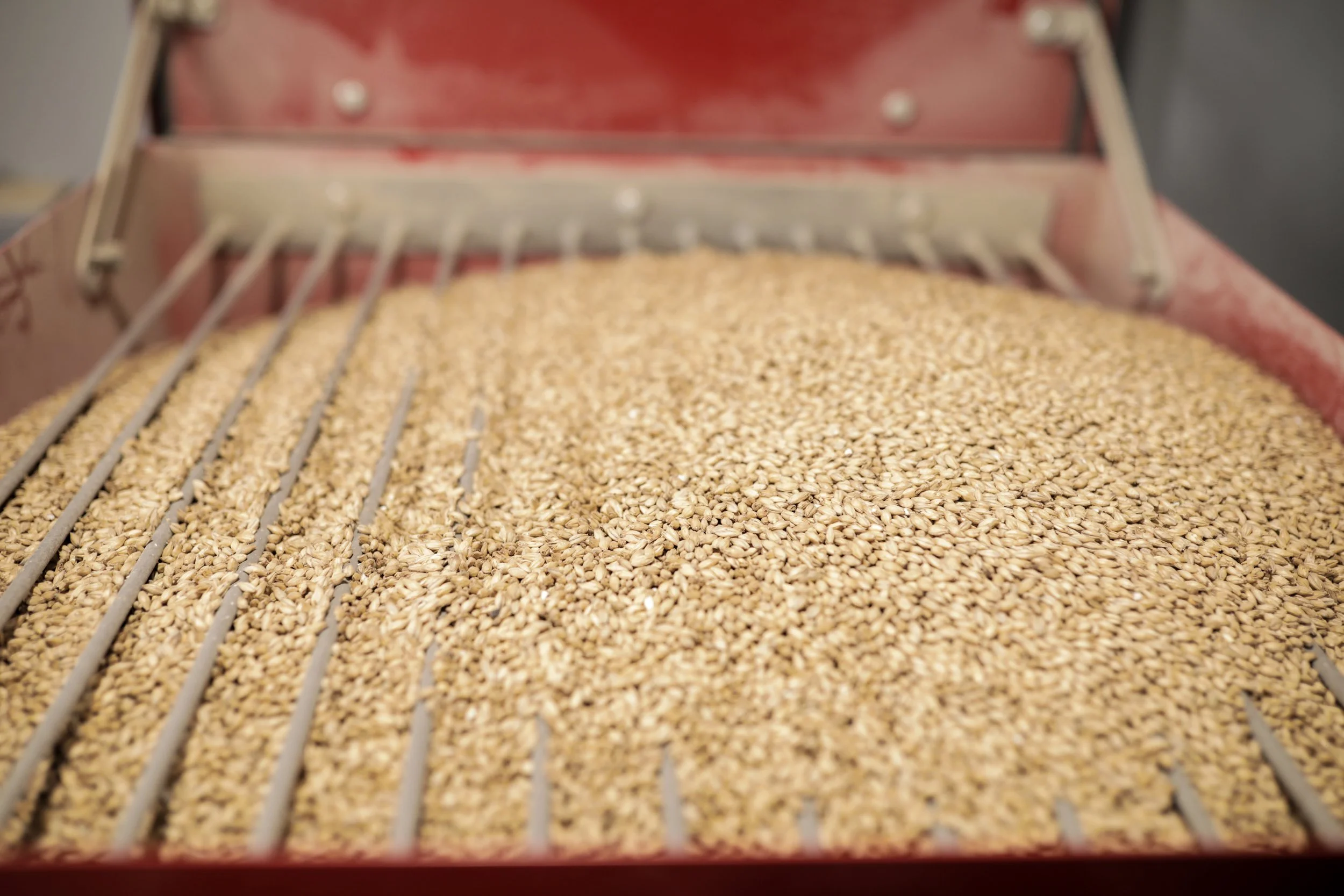 Inside the Five Brewing Co.