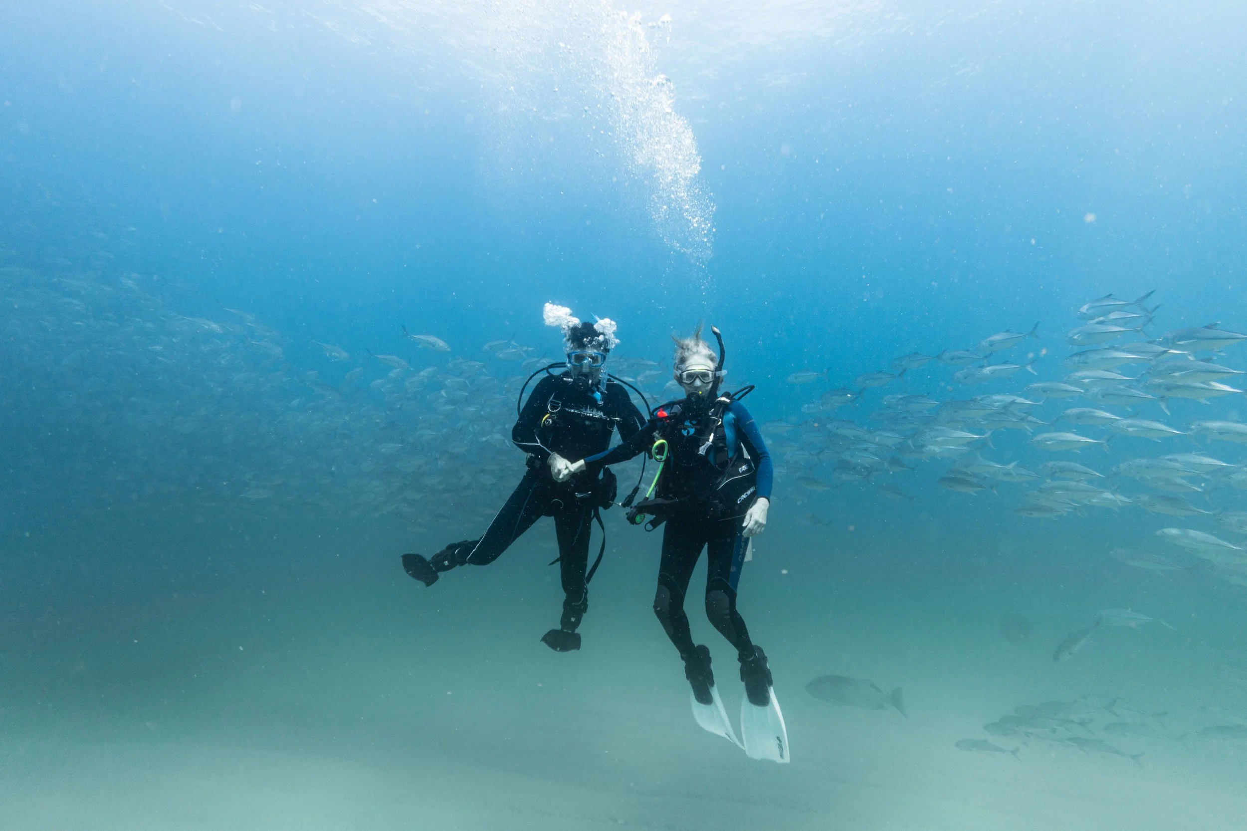 DIP Expeditions