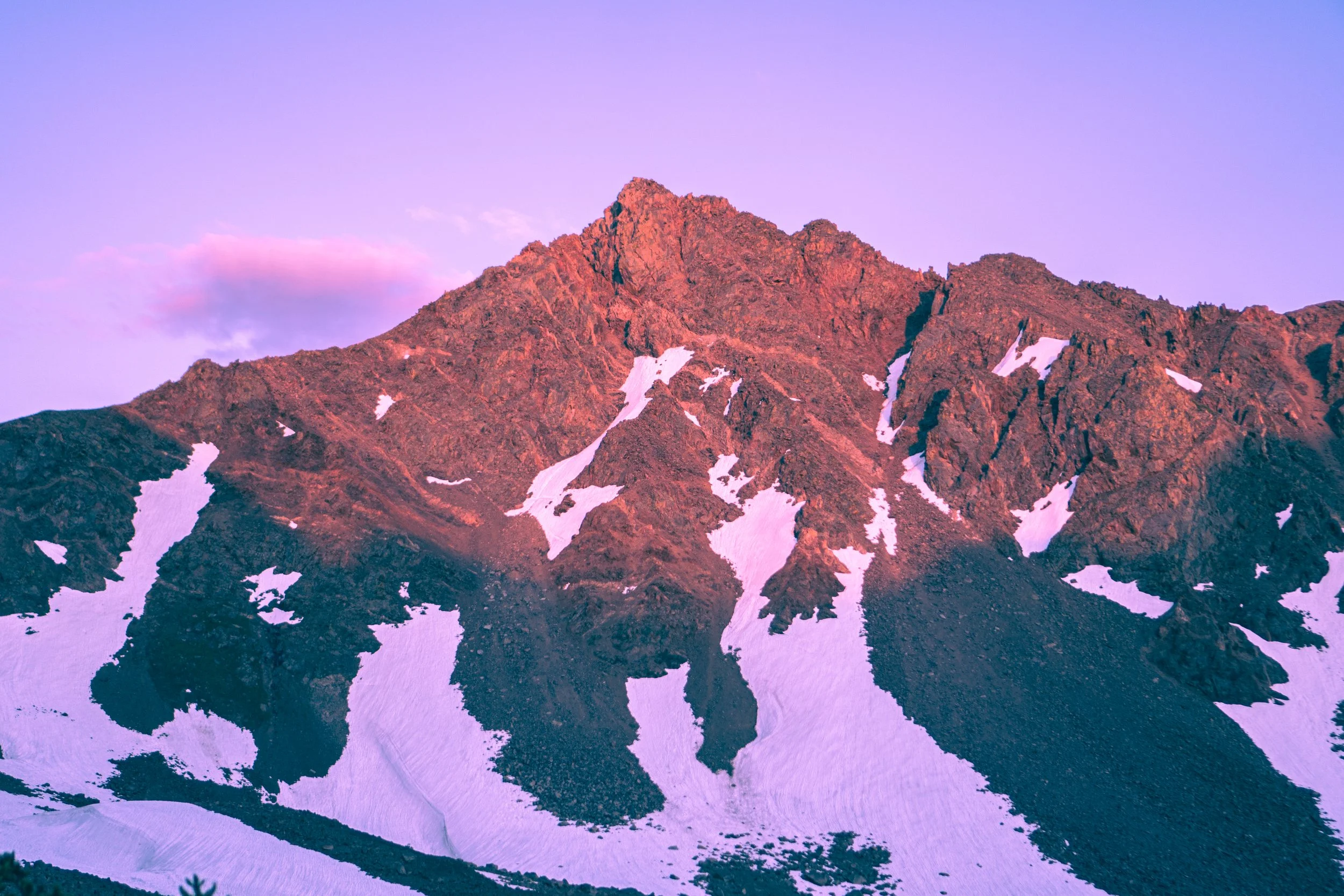 Melody Ward | Artist | Human Creative Director