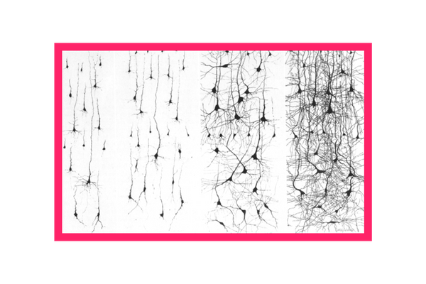 Super-learning: The little-known skill that makes all the difference — LifeLabs Learning