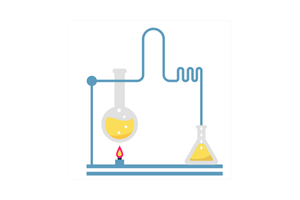 Super-learning: The little-known skill that makes all the difference ...