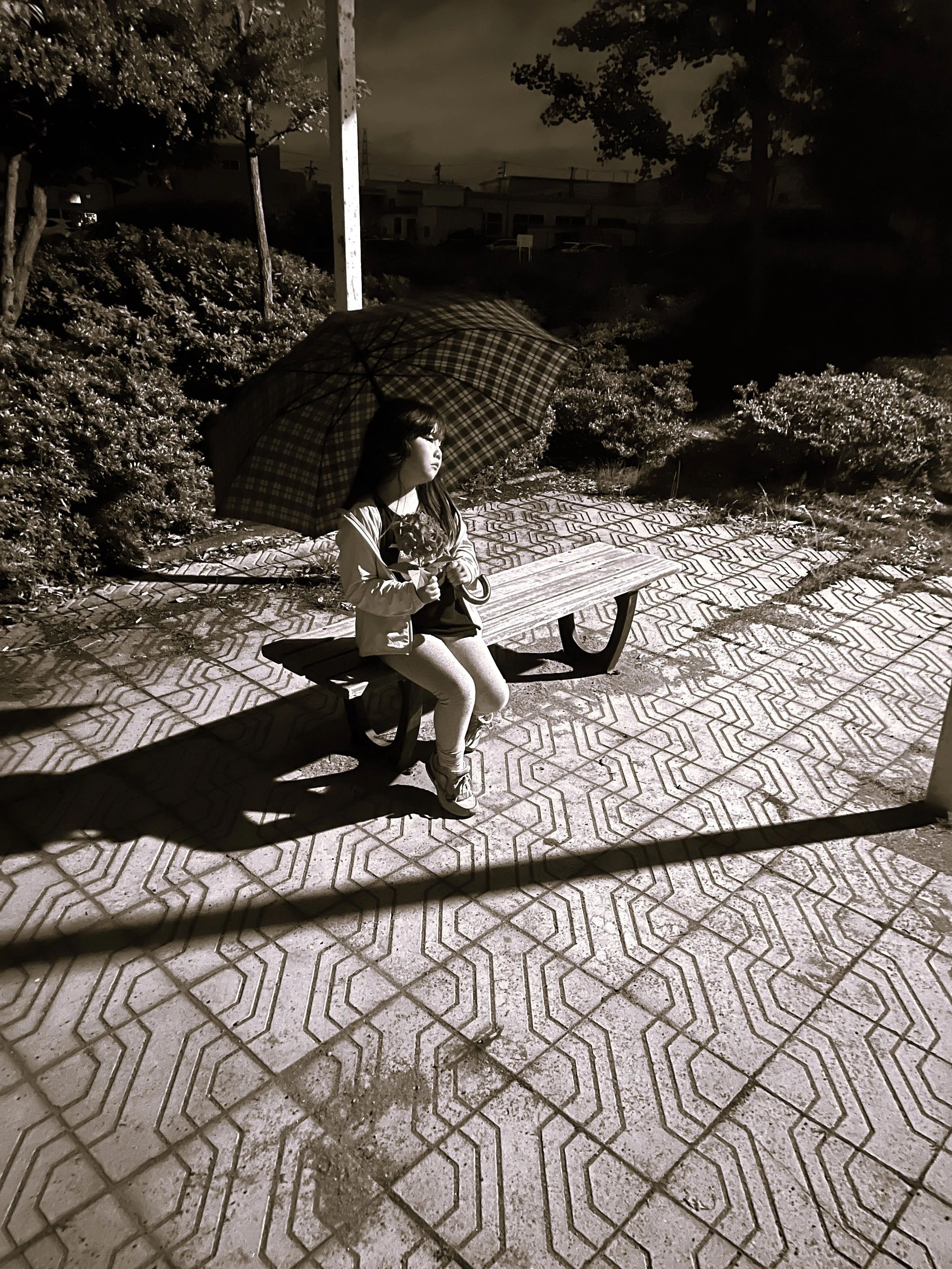 About — Wildflower Playhouse