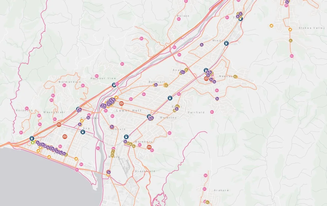 About Healthy Families — Healthy Families Hutt Valley
