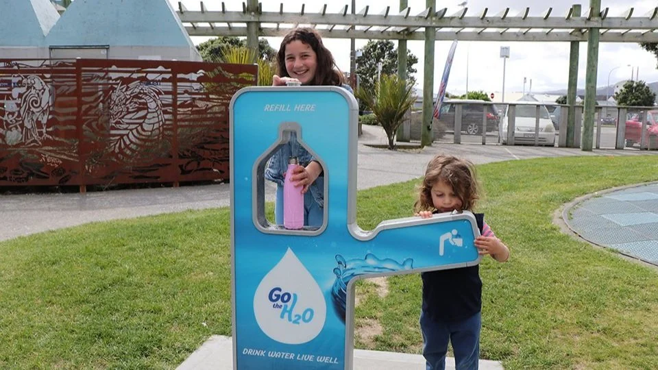 WAI MĀORI — Healthy Families Hutt Valley