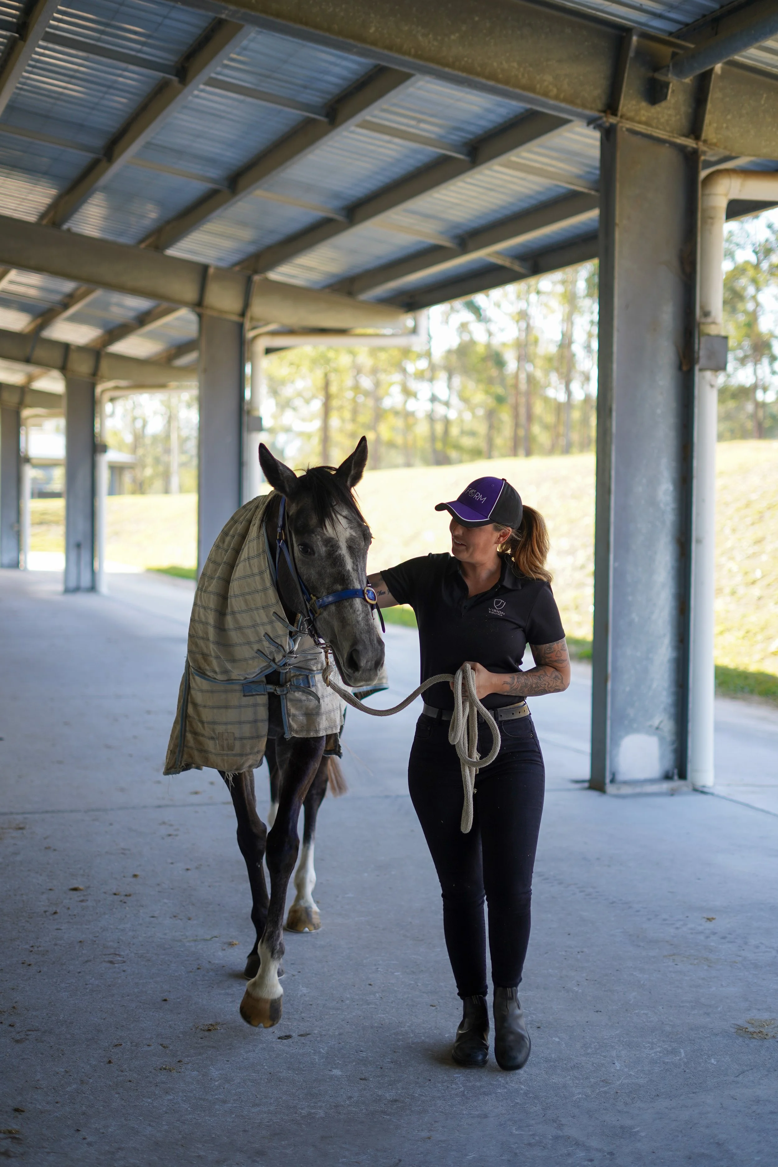 Vision Equine