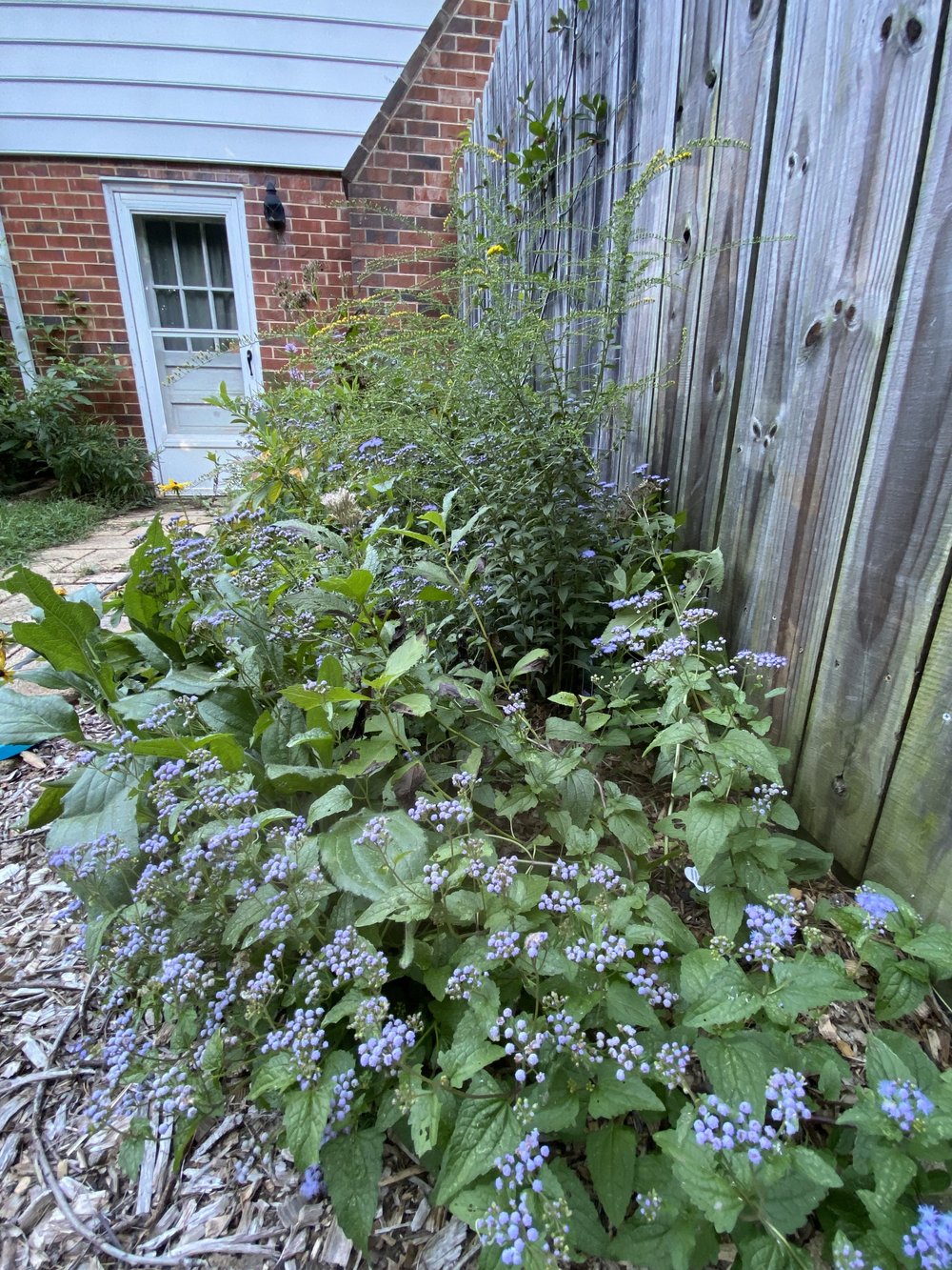 Undoing Ruin Conservation Landscaping