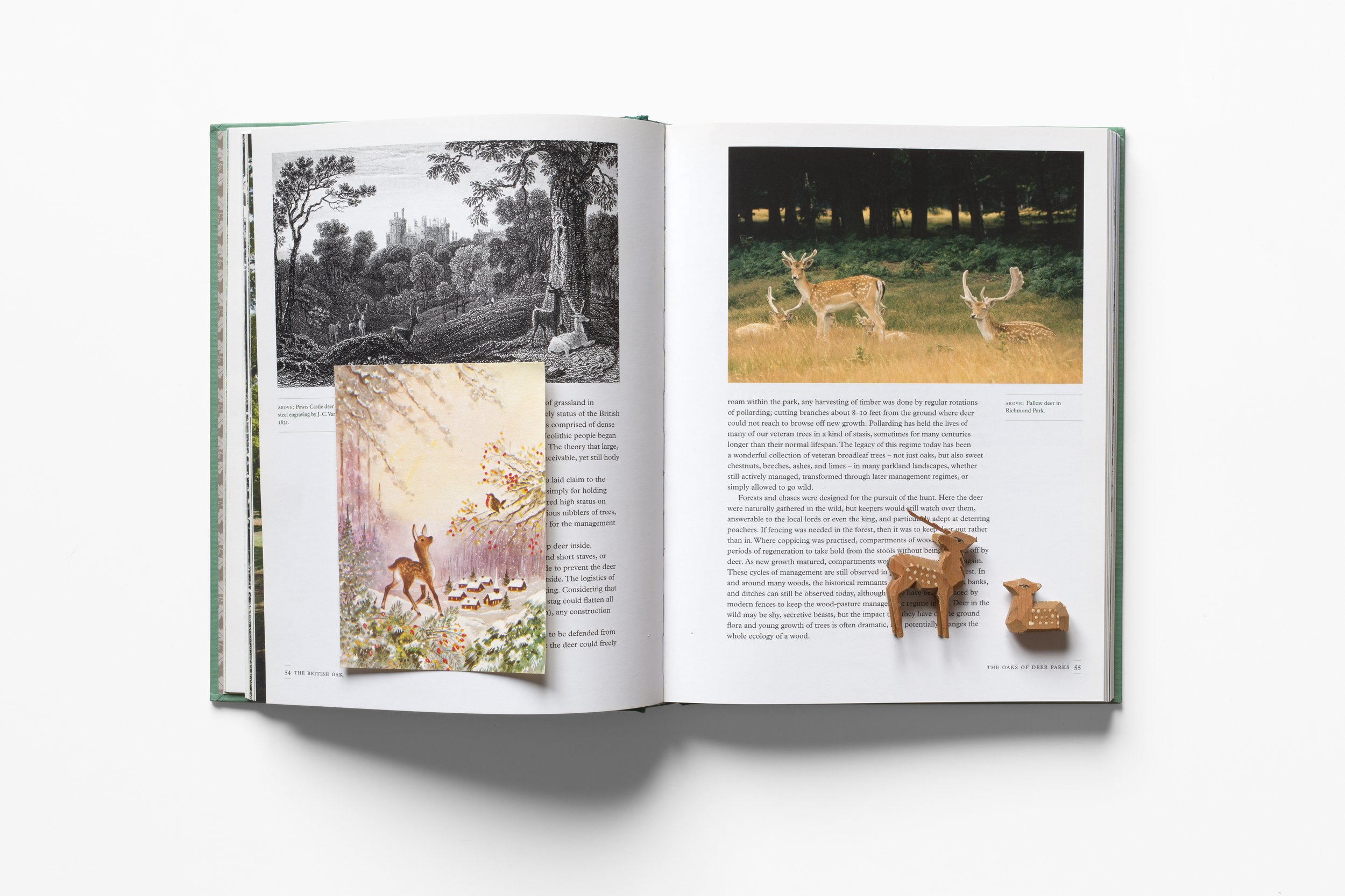 Open Book — Tai Snaith