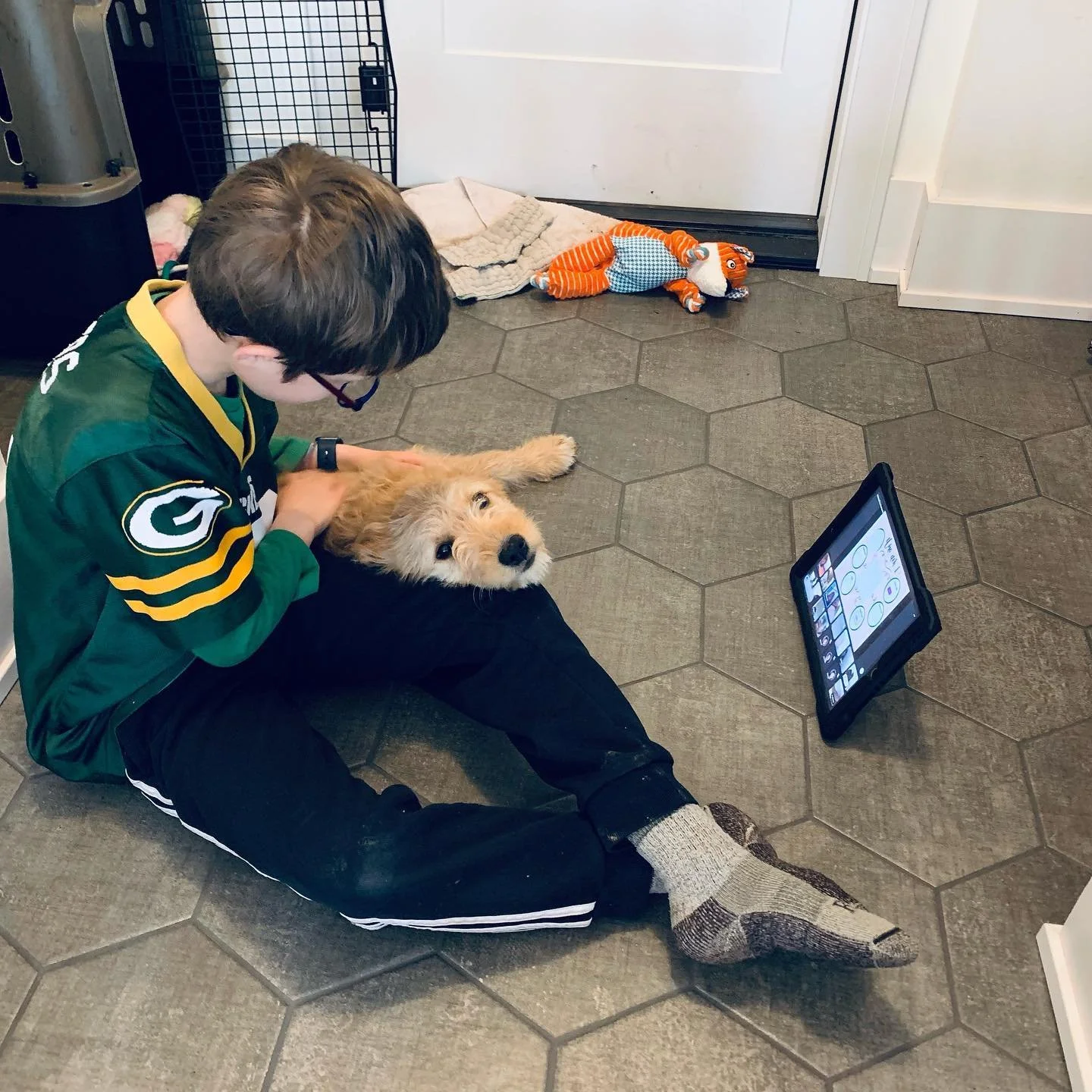 North Star Dog Training
