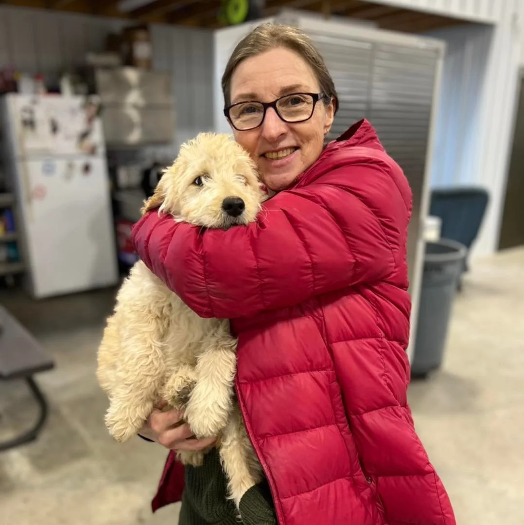 North Star Dog Training