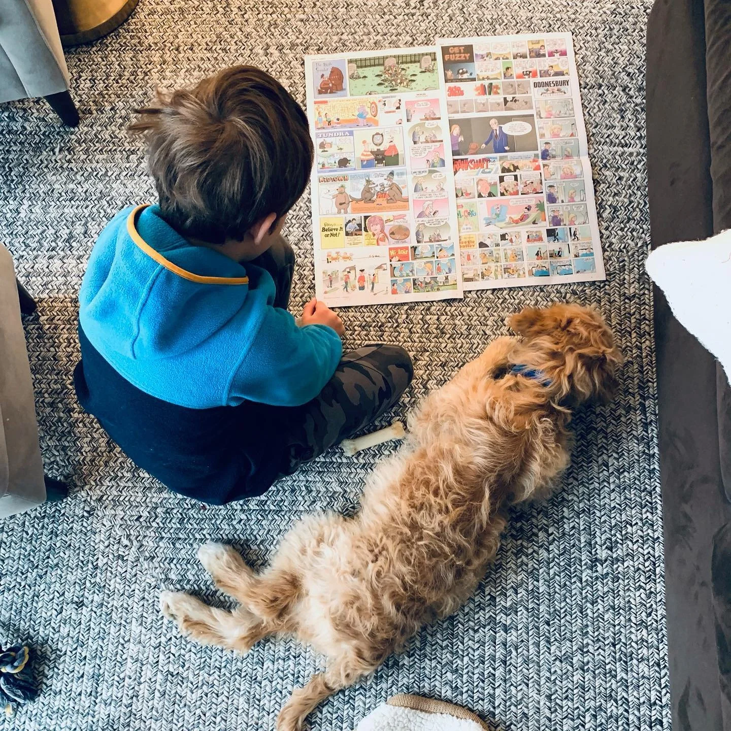 North Star Dog Training