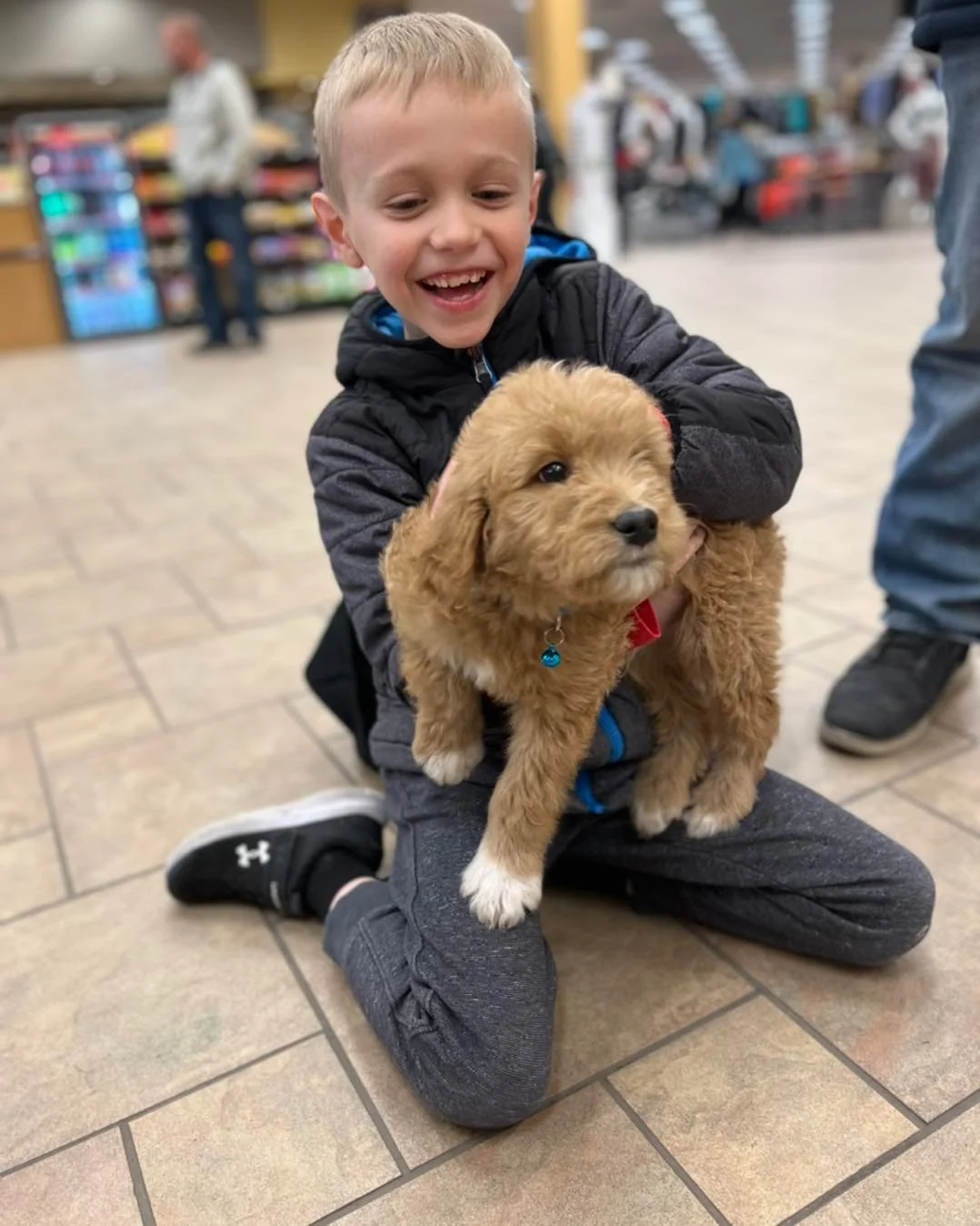 North Star Dog Training