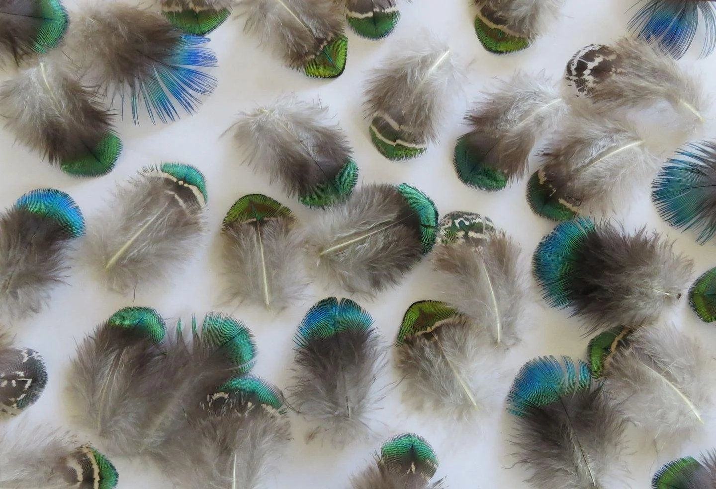 Adornments for your cocoon — Earth Friendly Cocoons