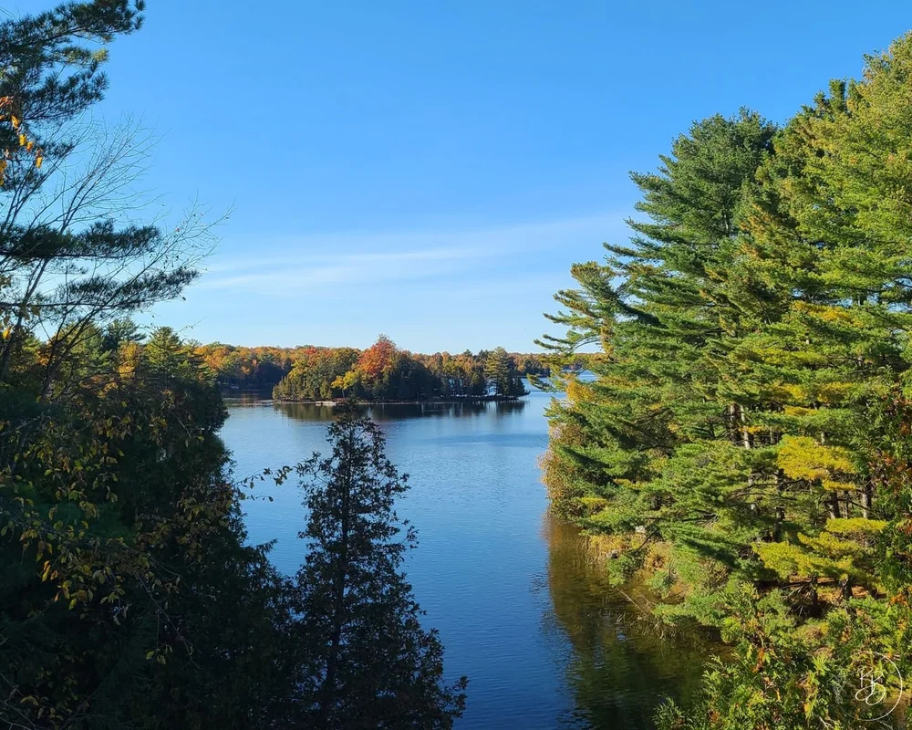 Frontenac Arch Biosphere Travel Guide: Regenerative Tourism & Volunteer ...