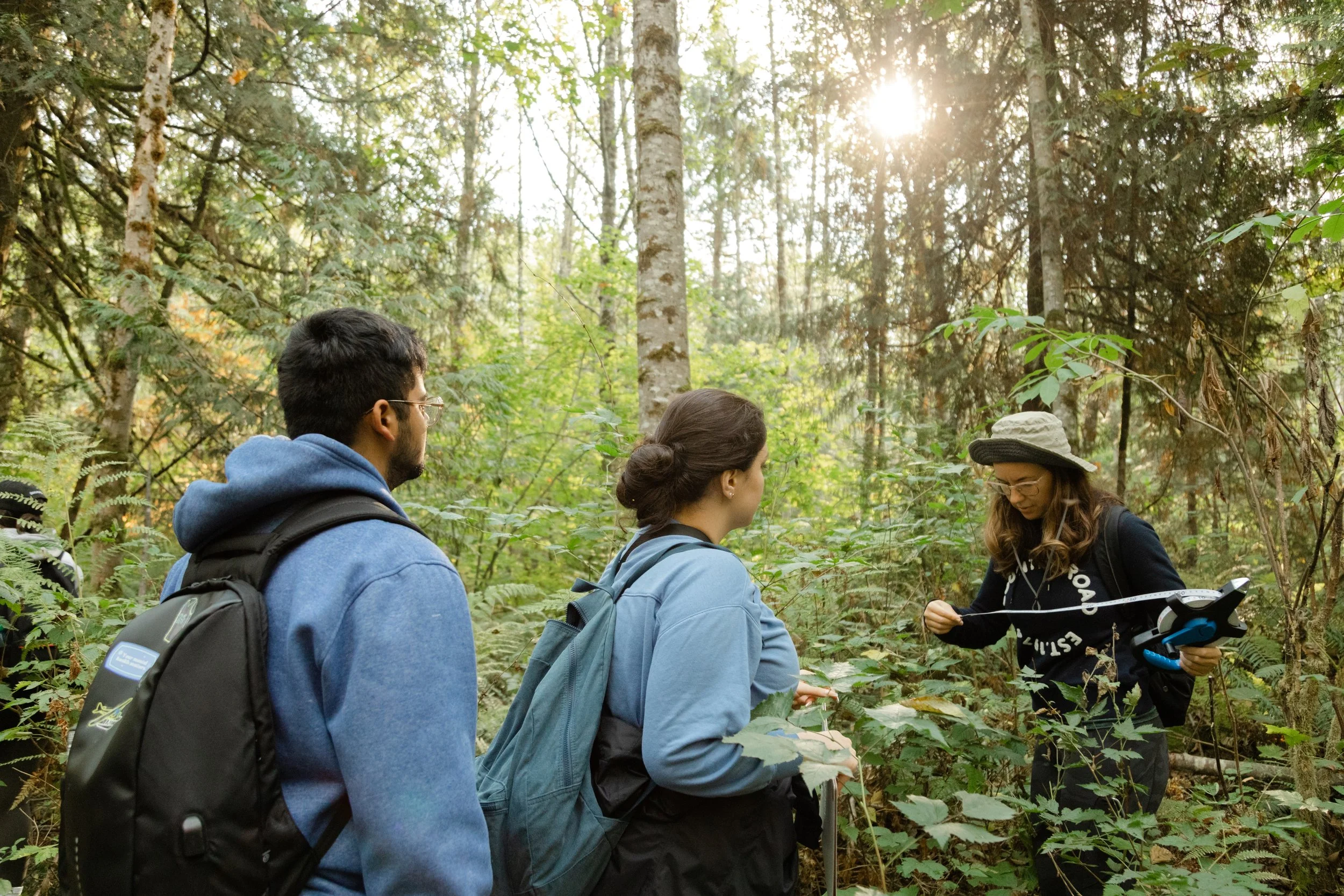 What is Regenerative Tourism? — Biosphere Bathing