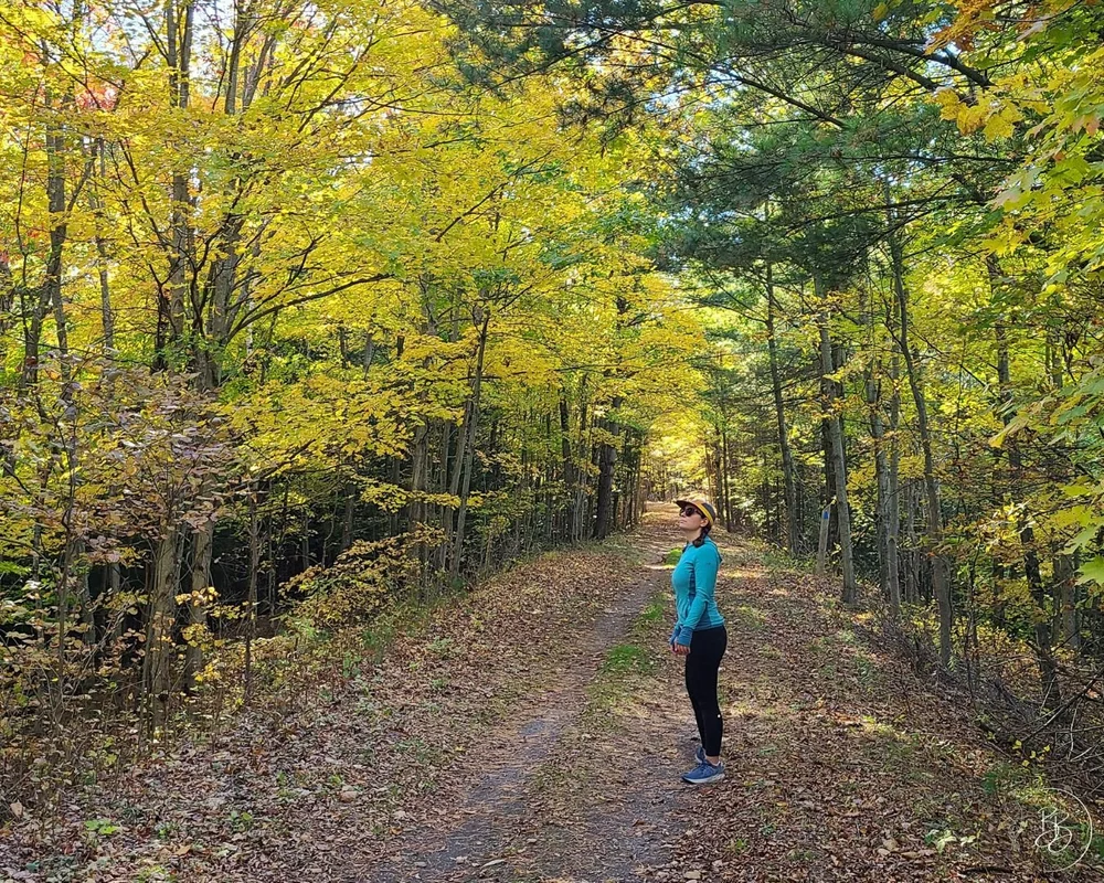 Frontenac Arch Biosphere Travel Guide: Regenerative Tourism & Volunteer ...