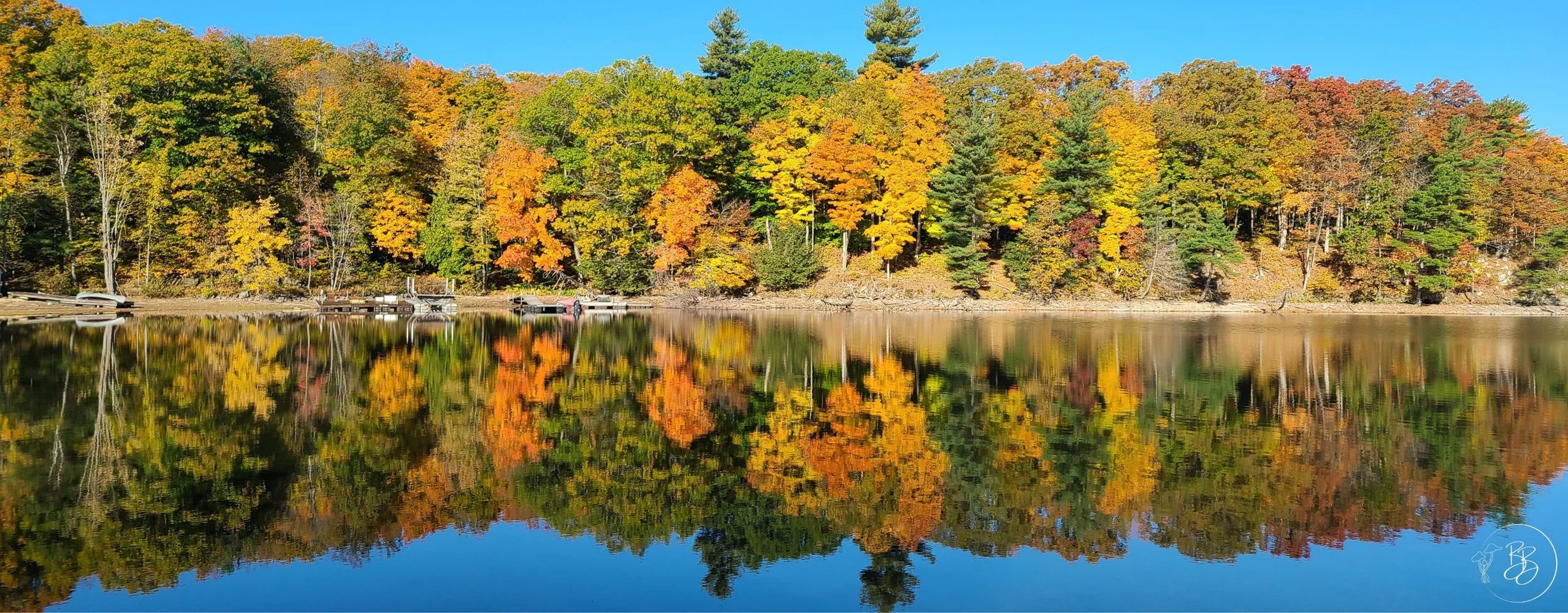 Frontenac Arch Biosphere Travel Guide: Regenerative Tourism & Volunteer ...