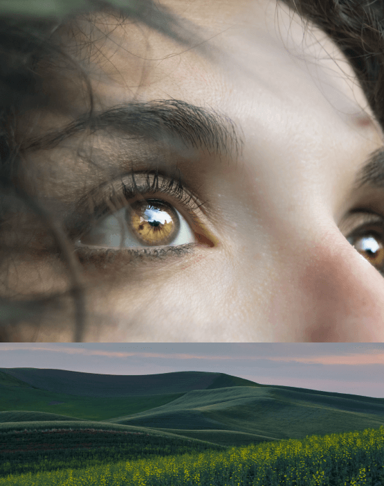 Clearfield Eye Physicians & Surgeons