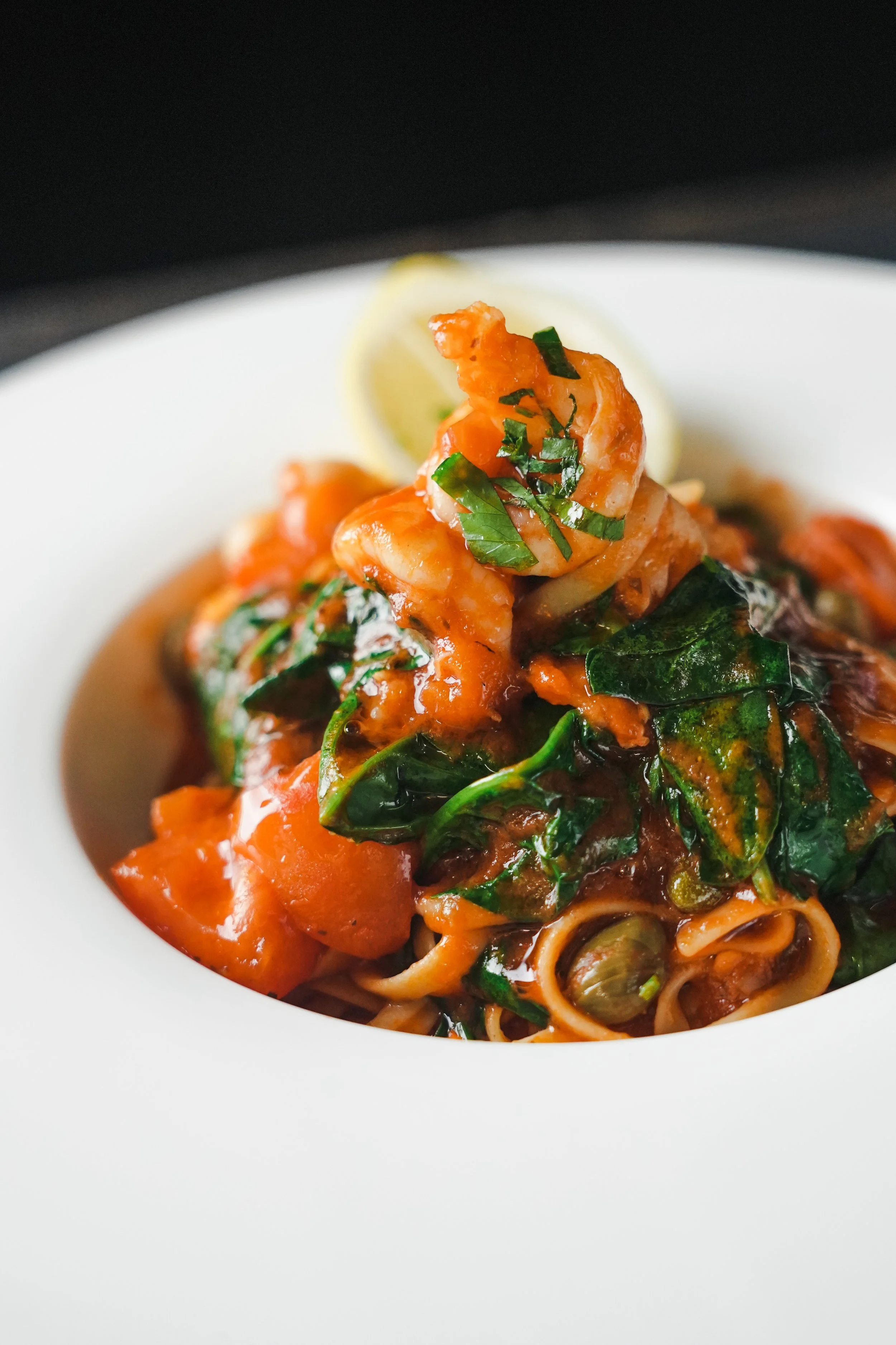 Gallery | Arium of Mascot