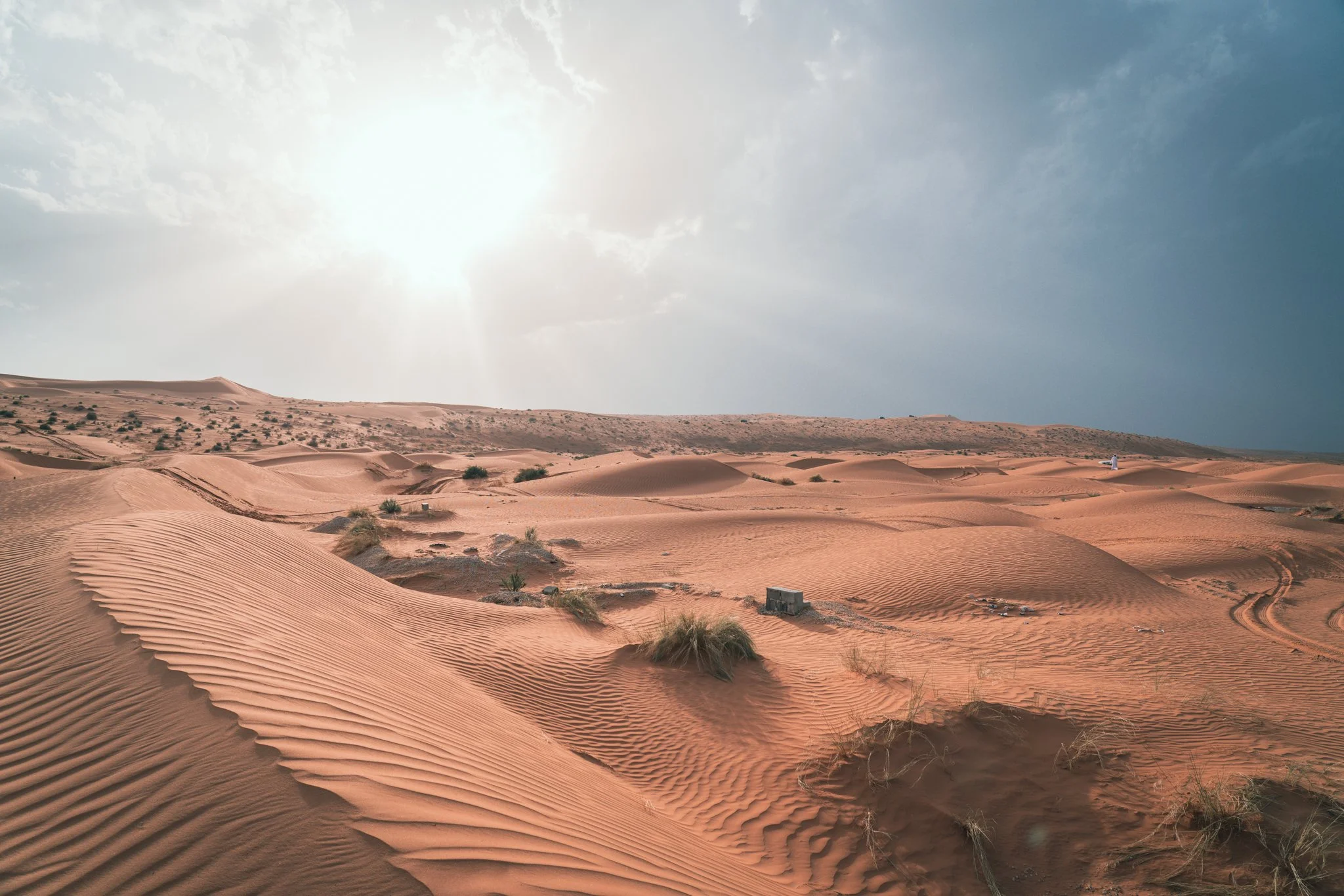 Capturing the Beauty of the Desert: A Photographer's Guide into Arid ...