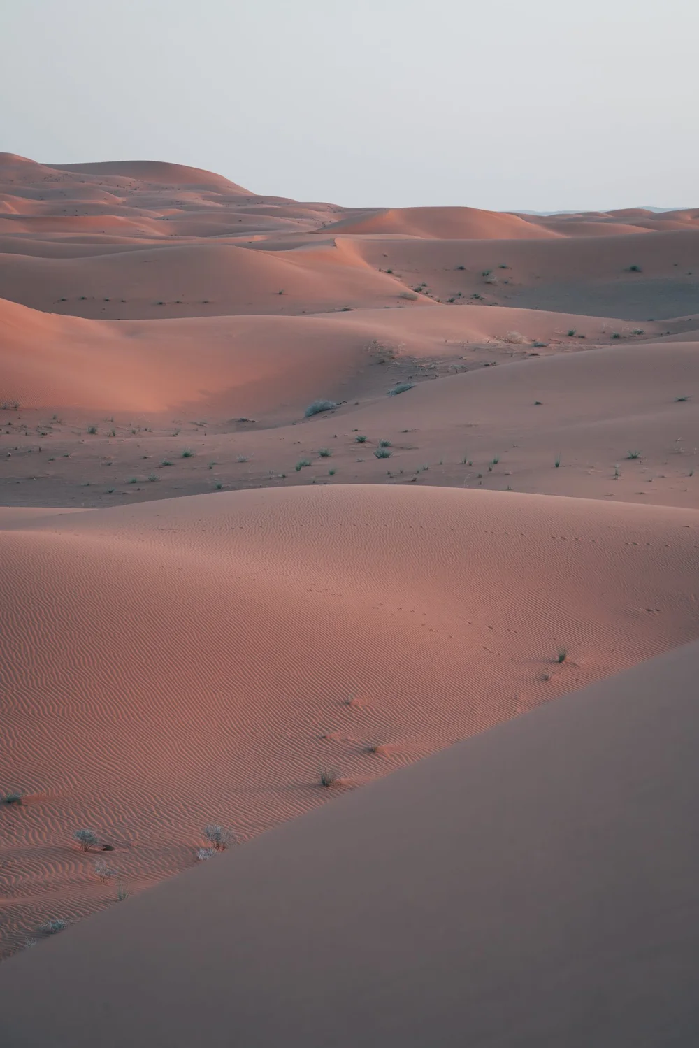 Capturing the Beauty of the Desert: A Photographer's Guide into Arid ...