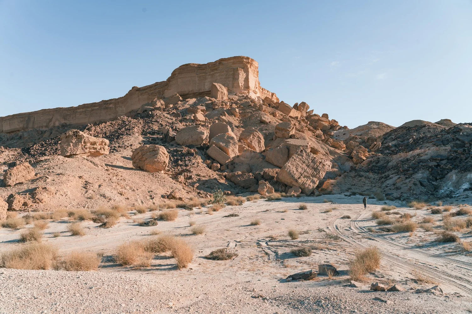 Capturing the Beauty of the Desert: A Photographer's Guide into Arid ...